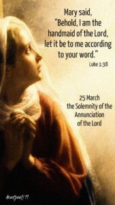 Mater Populi Fidelis – The American Catholic